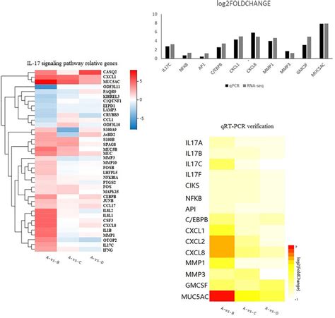 A Heatmap Showing The Relative Gene Expression Of 38 Genes