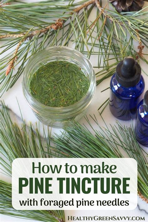 Easy Pine Needle Tincture Recipe How To Make White Pine Tincture