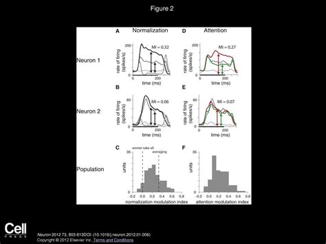 Tuned Normalization Explains The Size Of Attention Modulations Ppt