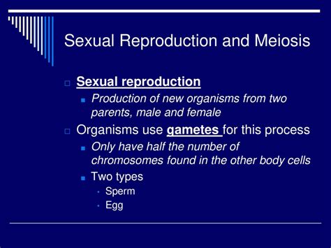 Cell Structures And Processes Ppt Download