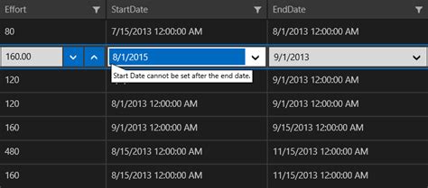 winui datagrid documentation validation datagrid telerik ui for winui