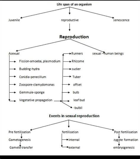 Reproduction Flow Chart