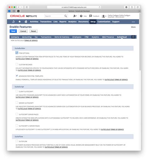 netsuite enabling suitescript
