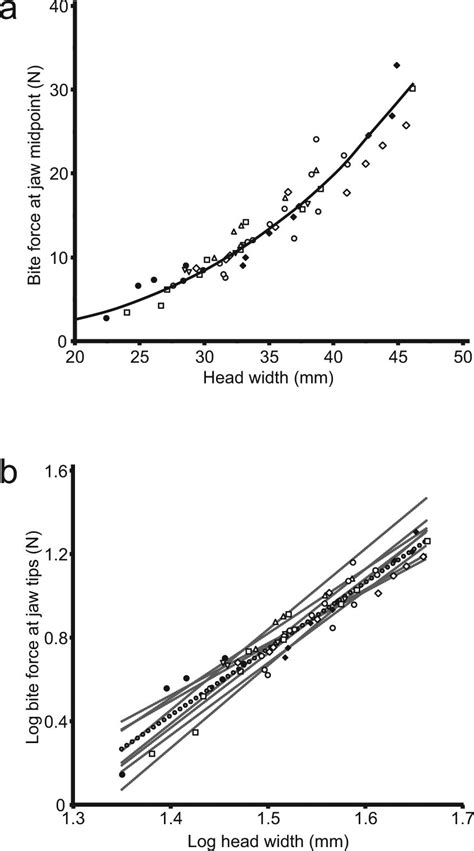 Head Width Vs Bite Force For Specimens Of Ceratophrys Cranwelli A