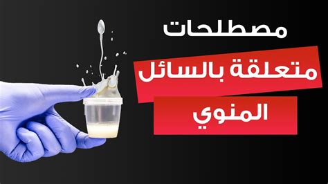 مصطلحات متعلقة بالسائل المنوي مهم لكل رجل معرفتها Youtube