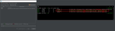 java how to attach to payara from intellij jprofiler plugin stack