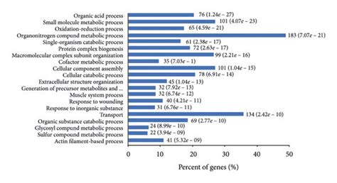 Go Analysis Of Differential Proteins Between The Sct Of The Abt Along