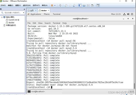 《docker教程第一章》如何在docker中搭建虚拟mysql数据库 docker 创建数据库表 csdn博客