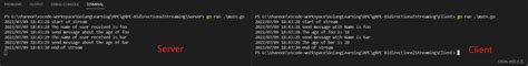 【golang grpc】grpc bidirectional streaming双向流实战 golang grpc stream csdn博客