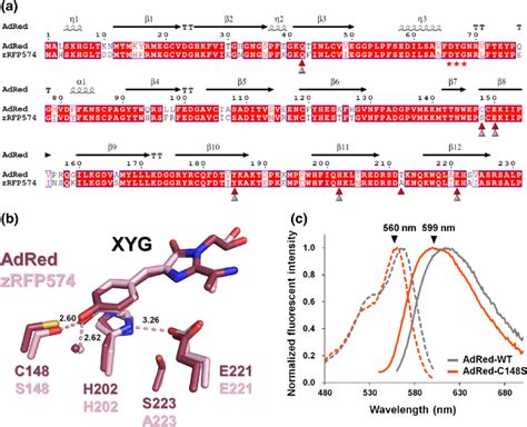 structural comparison and mutagenesis a structure based sequence
