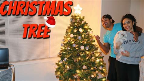 Our First Vlog L Decorating Our Christmas Tree 2017 Youtube