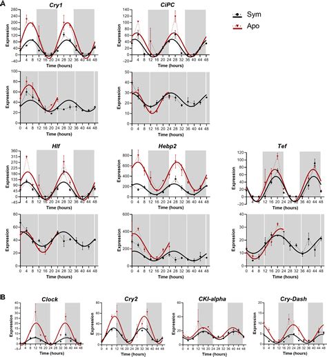 Temporal Gene Expression Patterns In The Coral Euphyllia Paradivisa