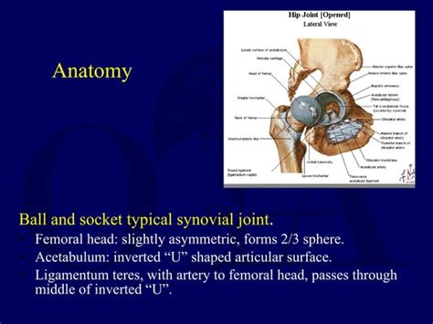 Management Of Hip Dislocations