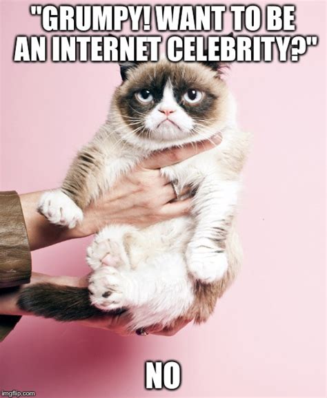 Celebrity Grumpy Cat Imgflip