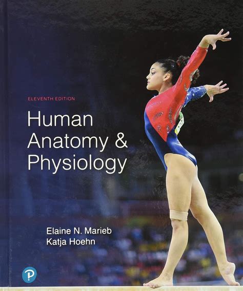 Human Anatomy And Physiology Marieb Elaine Hoehn Katja 9780134580999