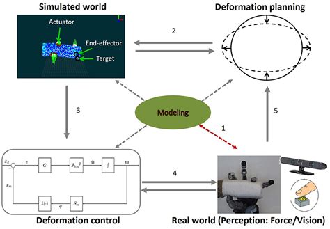 frontiers modeling of deformable objects for robotic manipulation a