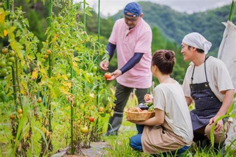 地方創生の写真素材｜写真素材なら「写真ac」無料（フリー）ダウンロードok