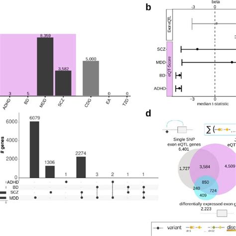 Multi Snp Effects And Their Influence On Cortical Expression A Bar