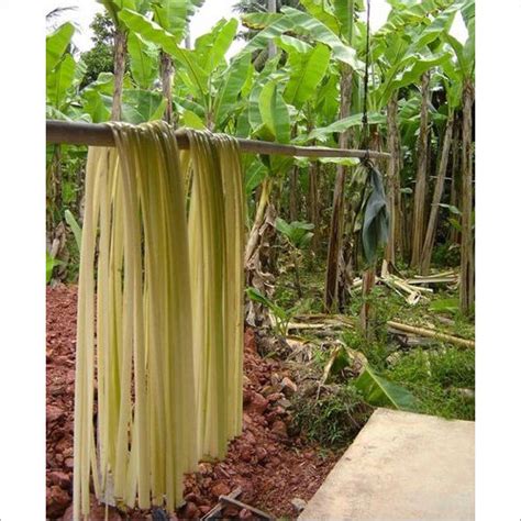 Banana Fiber Manufacturers Banana Fibre Suppliers And Exporters