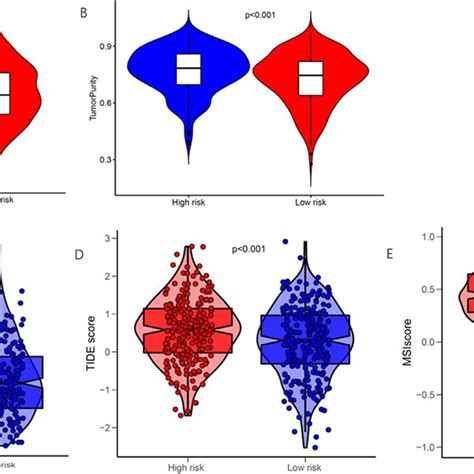 Tumor Immune Microenvironment Between High And Low Risk Groups With