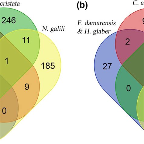 A Venn Diagram Of The Number Of Positive Selection Genes In The Four