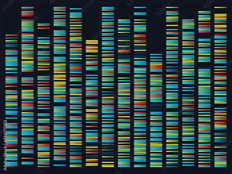 Genomic Sequences Structure Of Dna Genome Sequence Map Human Pairs Of