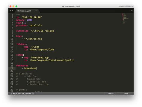 laravel can t run vagrant provision for laravel homestead
