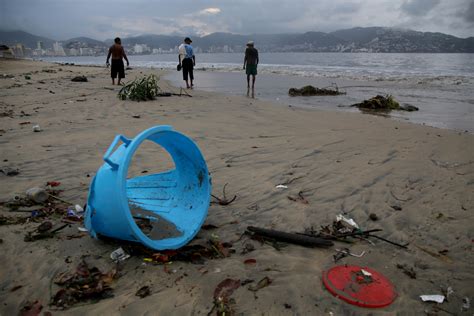 Día Mundial Del Medio Ambiente Cinco Medidas Que Propone La Unam Para