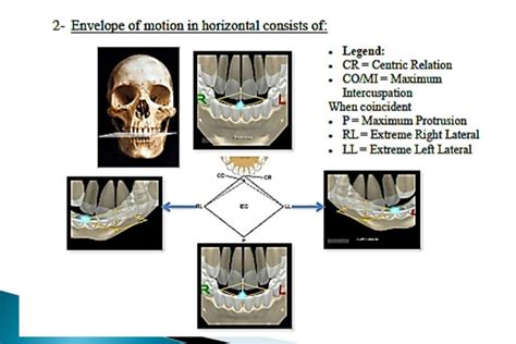 Mandibular Movements