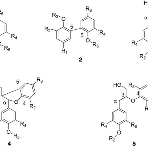 Commonly Found Linkages In Lignin 1 4 O 5 2 5 5 3 β 1 4