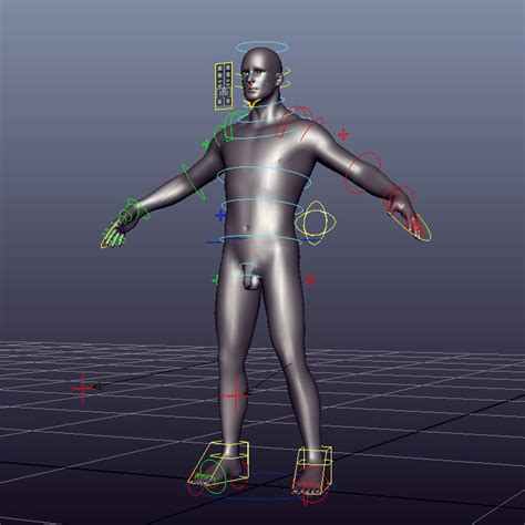 Free Human Male Zbrush Rigged 3d Model Turbosquid 1182524