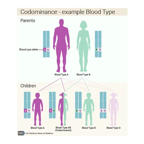 what are the different ways a genetic condition can be