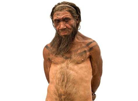 أين عاش إنسان نياندرتال؟ وكيف كان شكله؟ أنا أصدق العلم