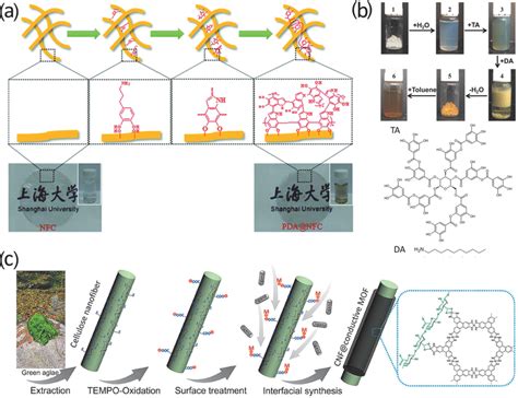 A Schematic Representation Of Coating Pda On Cnfs Reproduced With