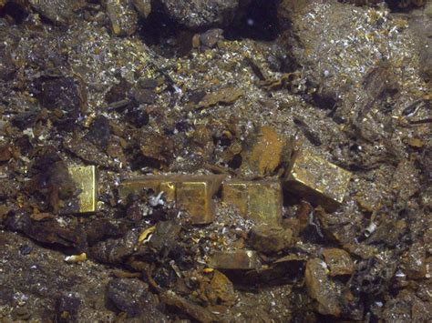 More Sunken Treasure Recovered 13 500 Gold Silver Coins Found At 1857
