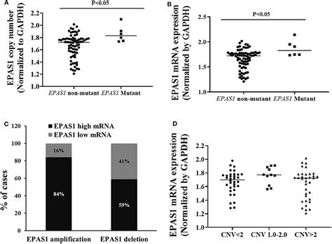 Frontiers Molecular Deregulation Of Epas1 In The Pathogenesis Of