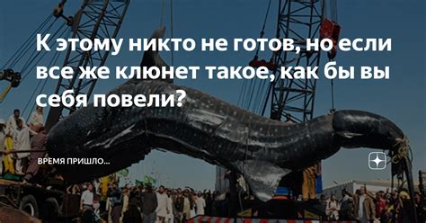 К этому никто не готов но если все же клюнет такое как бы вы себя
