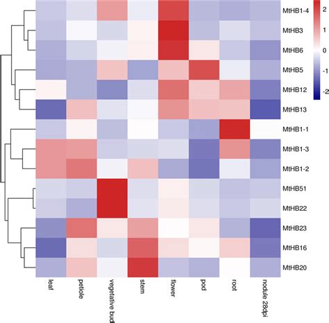 expression profiles of identified mthd zip i genes in various organs