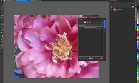 how to record a script in coreldraw
