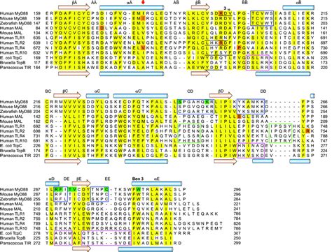 Fig S2 Sequence Alignment Of Selected Tir Domains Secondary