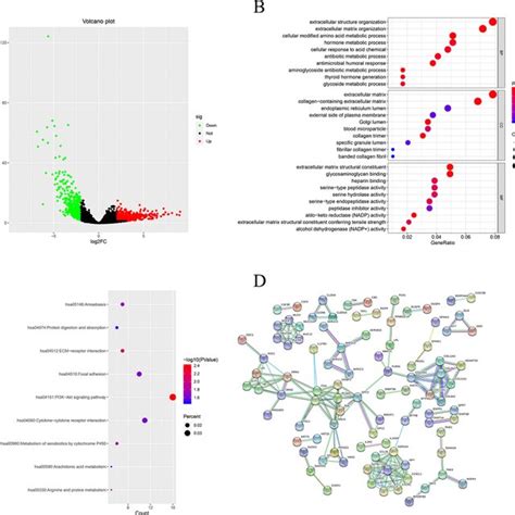 Analysis Of Differentially Expressed Genes Using Bioinformatics On The