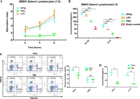 The T Cells Proliferation And Differentiation In Vitro And In Vivo A