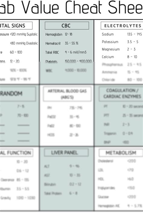 series 65 cheat sheet pdf cheat sheet