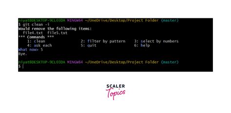 remove untracked files git scaler topics