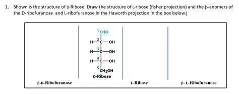 Solved 1 Shown Is The Structure Of D Ribose Draw The