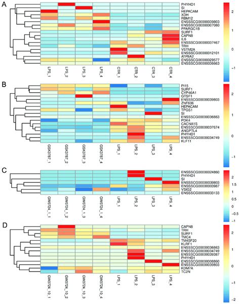 Hierarchical Clustering Heatmap Of Differentially Expressed Genes After