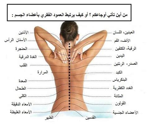 D9 8a D8 B1 D8 Aa D8 A8 D8 B7 D8 A7 D9 84 D8 B9 D9 85 D9 88 D8 Af D8