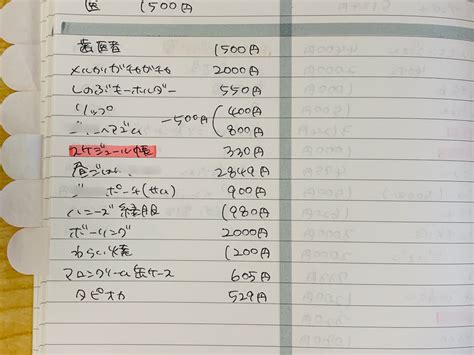 【手書き】ノートで作るお小遣い帳の書き方・作り方を紹介！学生さんにとてもオススメ！ ゆらゆらら