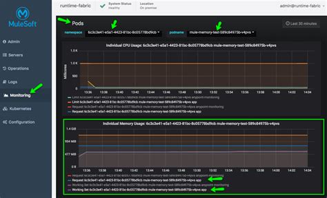 how to check the memory usage of an application replica in rtf runtime