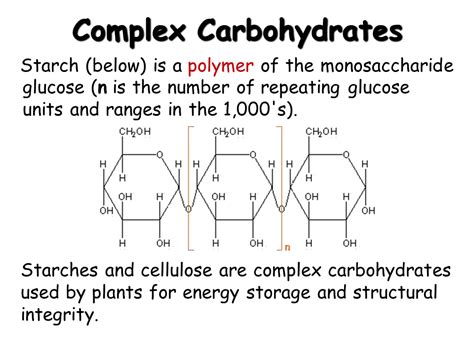 Biochemistry The Chemistry Of Life Presentation Biology